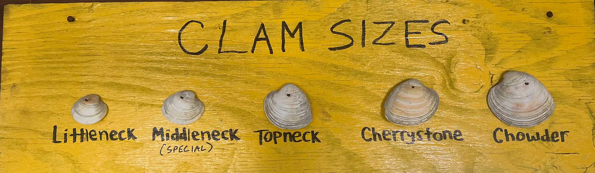 Retail | Parsons Seafood | Fresh NJ Shellfish and Seafood